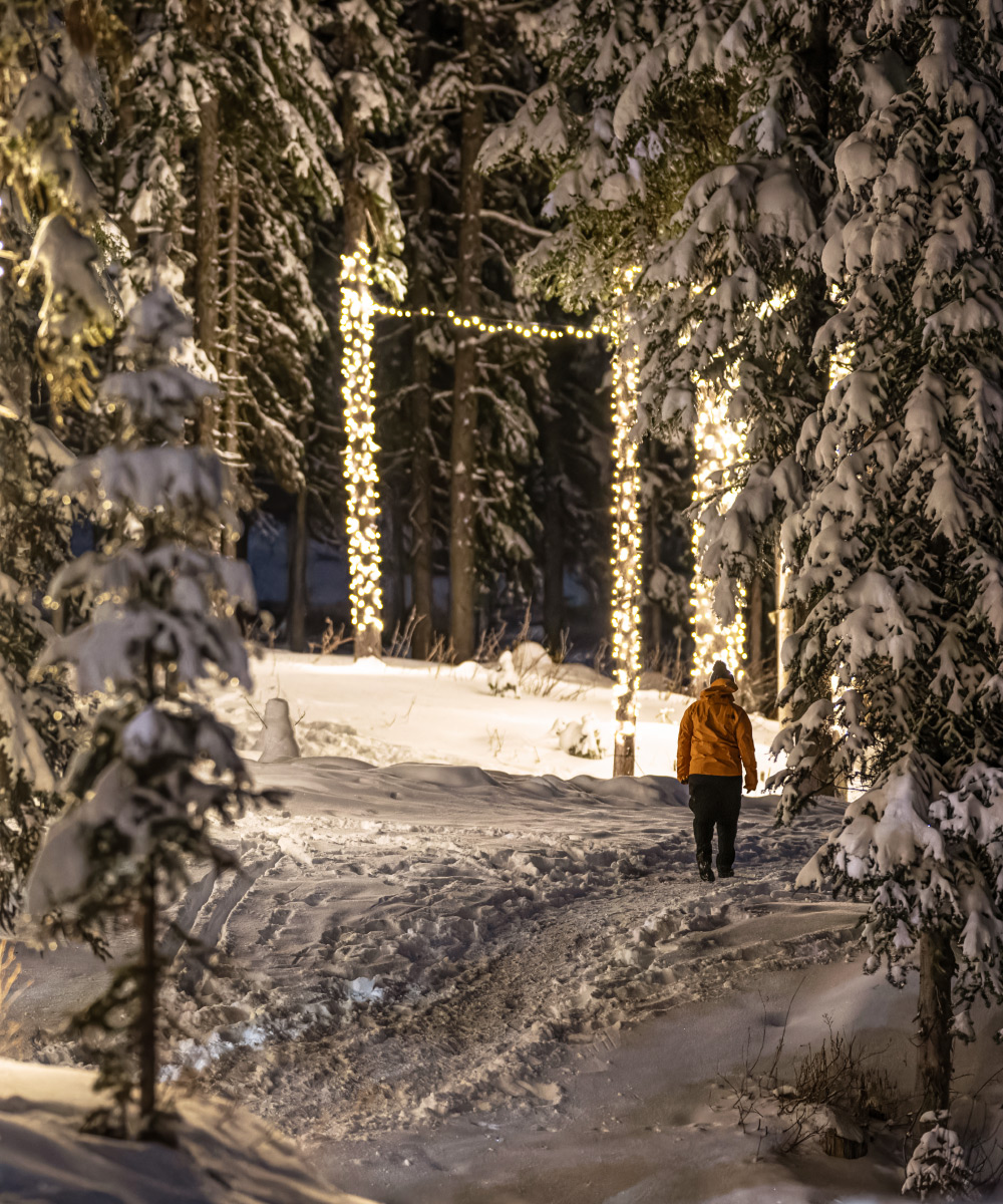 Big White's Twinkling Trail | Big White Ski Resort Ltd.