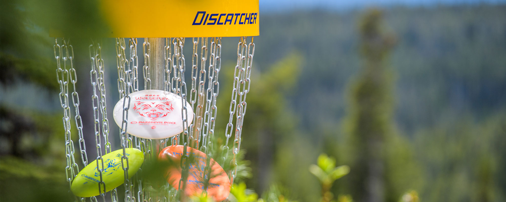 Disc Golf at 1,755m Above Sea Level! Summer at Big White 2021 | Big ...
