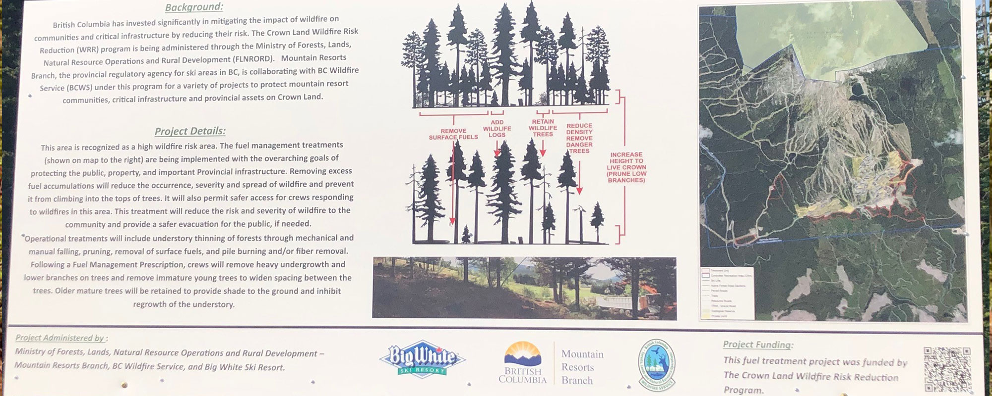 First Stages of Provincial Wildfire Risk Reduction Project Near ...