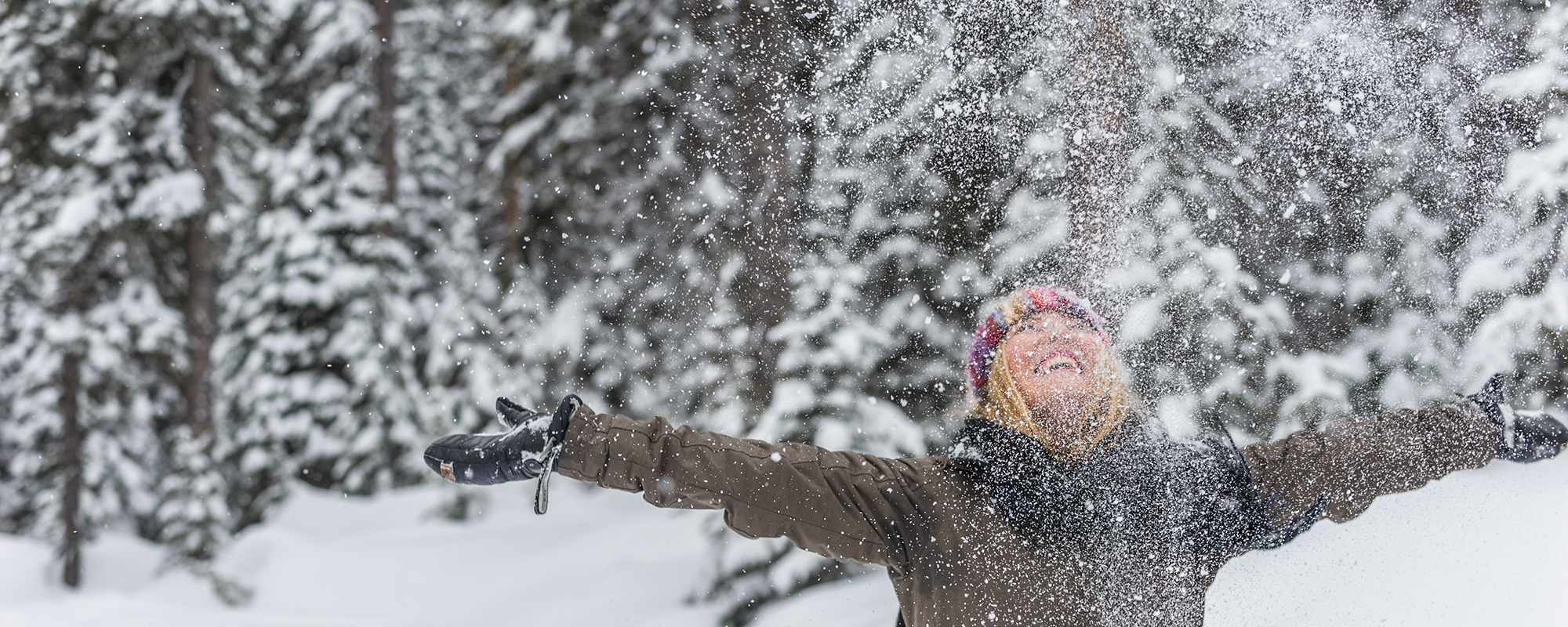Boundary Country | Big White Ski Resort Ltd.