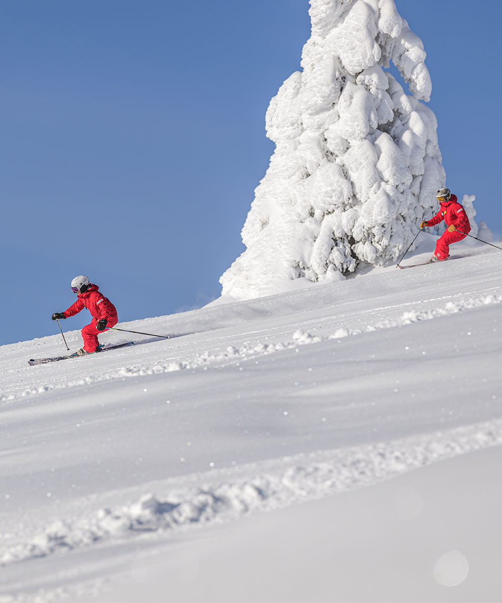 CSIA Level 1 Courses | Big White Ski Resort Ltd.