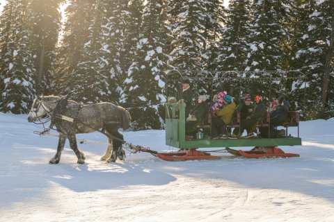 Snowmobile Tours | Big White Ski Resort Ltd.